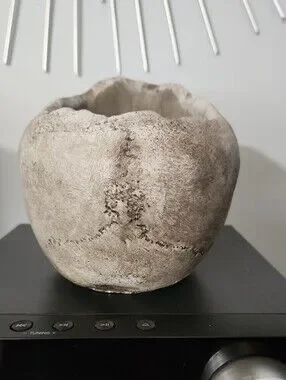 Art | Skull Planter Concrete | Poshmark